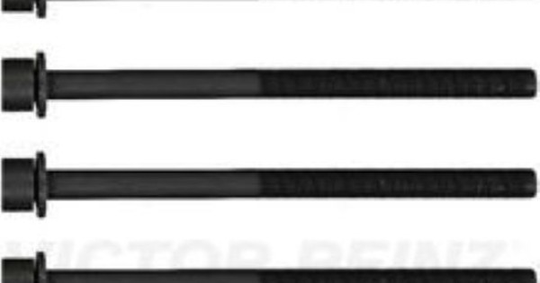 Cylinder Head Bolts for Fiat Fullback 2.4 D - 4N15 | 6000605139
