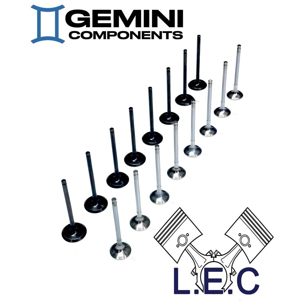 Set of Engine Valves for Kia 1.4 & 1.6 GDi / CVVT - G4FA, G4FC, G4FD