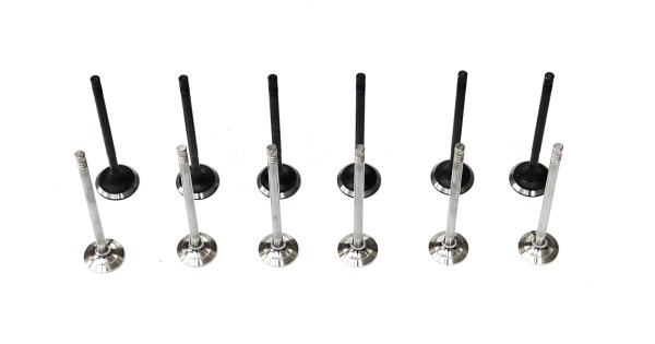 Set of 6 Inlet Valves & 6 Exhaust Valves for Smart ForTwo & ForFour 0.9 ...