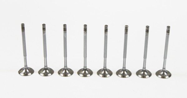 Set of 8 Inlet Valves for Audi A1, A2, A3 1.4 & 1.6 16v FSi / TFSI